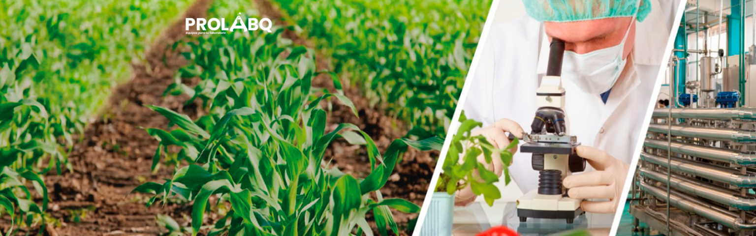 Importancia de los equipos de laboratorio en la agroindustria - ProlabQ ...
